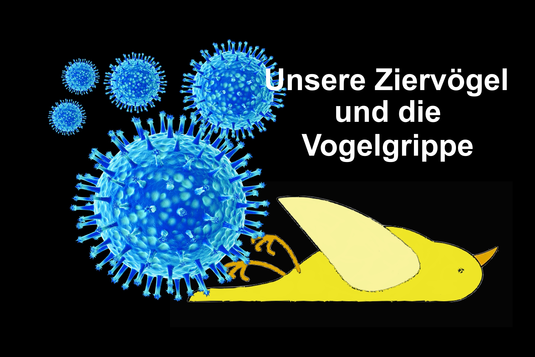 Unsere Ziervögel und die Vogelgrippe - Vogelzüchter vogelzuechter ...